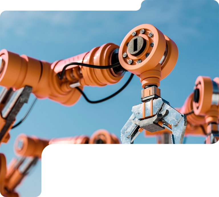 Services – ASM MAROC