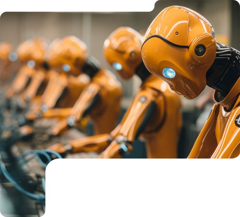 Services – ASM MAROC